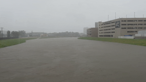 Tropical Storm Water GIF by DIIMSA Stock - Find & Share on GIPHY