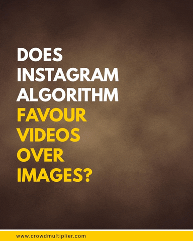 Instagram-algorithm GIFs - Get the best GIF on GIPHY