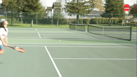Tennis Court GIF by BuzzFeed - Find & Share on GIPHY