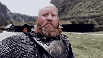 tv show smiling GIF by Vikings on HISTORY