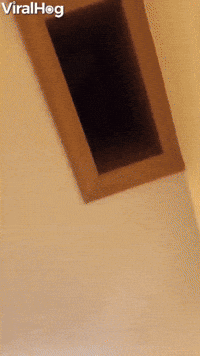Always Watching GIFs - Find & Share on GIPHY
