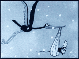 Stork GIFs - Find & Share on GIPHY