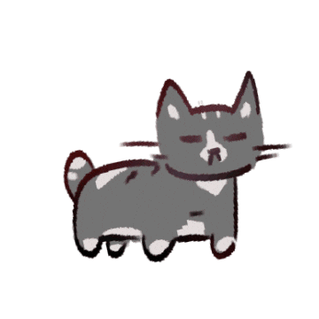 Oiiai Cat GIFs - Find & Share on GIPHY