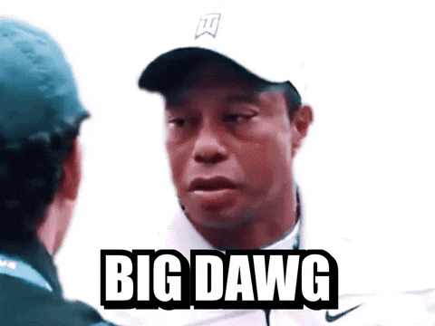 Big Dawg GIFs - Find & Share on GIPHY