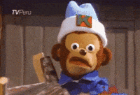 Monkey Puppet Meme GIFs - Find & Share on GIPHY