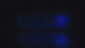 blue planet hug GIF by BBC Earth