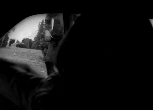 Night Of The Living Dead By Maudit Find And Share On Giphy