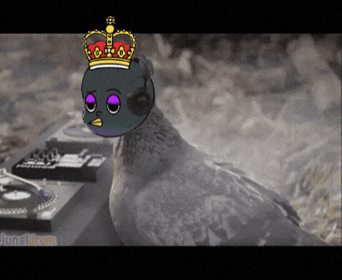 Pigeon Dj GIFs - Find & Share on GIPHY