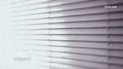 Paranoia GIFs - Find & Share on GIPHY