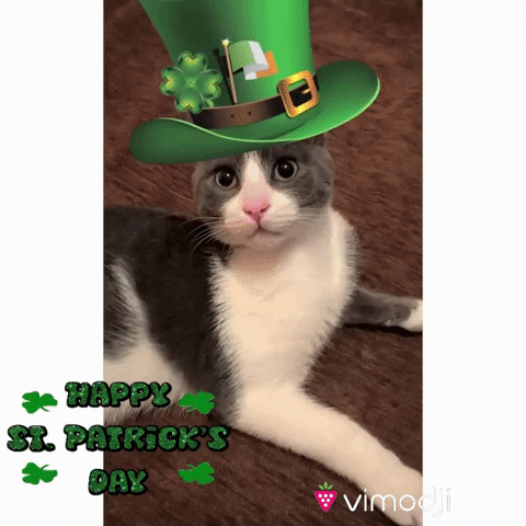 St Patricks Day GIF by Vimodji - Find & Share on GIPHY