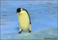 Ahhhhh Meme GIFs - Find & Share on GIPHY