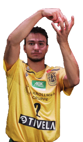 Handball Wirsindeintracht Sticker by VfL Eintracht Hagen - Find & Share on GIPHY
