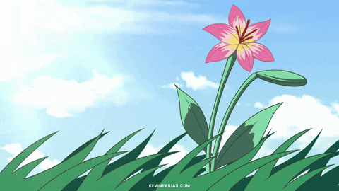 Flowers Spring GIFs - Find & Share on GIPHY