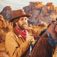 Cowboy Partner GIF