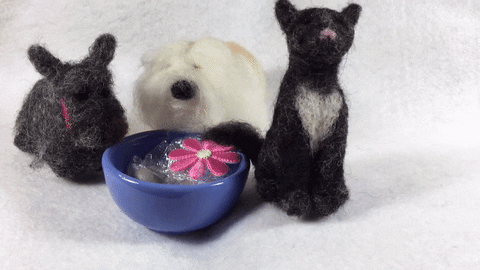 Making A Cake GIFs - Find & Share on GIPHY