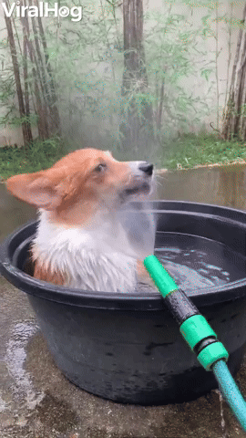 Spa Days Clips - Find & Share on GIPHY