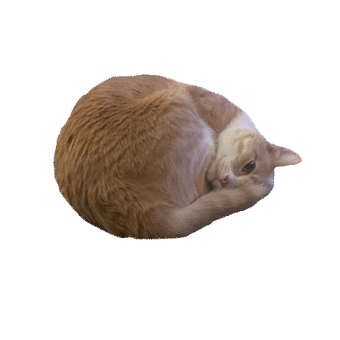 Spinning Milton Stickers - Find & Share on GIPHY