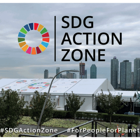 Sdg Actions GIFs - Find & Share on GIPHY