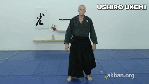 Ushiro Ukemi GIFs - Find & Share on GIPHY