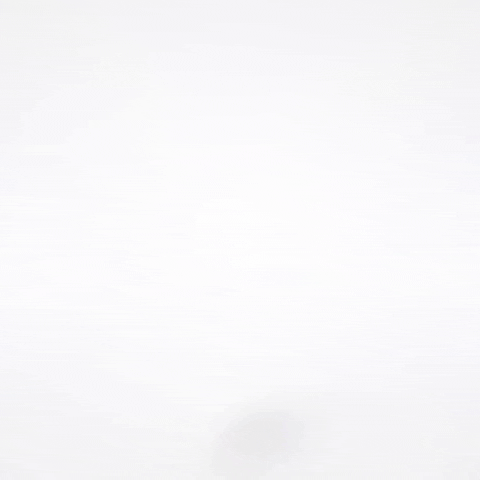 Phormae GIFs - Find & Share on GIPHY