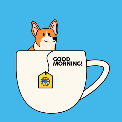 Good Morning Corgi