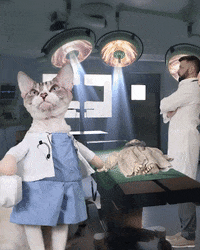 Doctor Who Gifs Funny