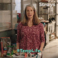 Temping GIFs - Get the best GIF on GIPHY