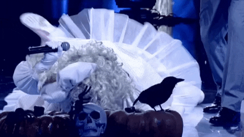 Bebeto GIFs - Get the best GIF on GIPHY