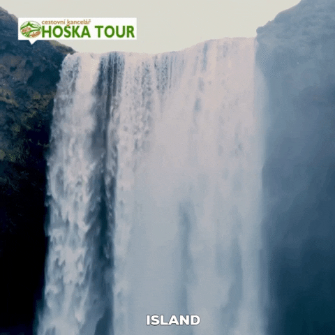 Mlh GIFs - Find & Share on GIPHY