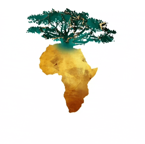 Tree Roots GIFs - Get the best GIF on GIPHY