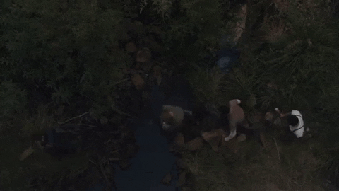 Mermaid Swamp GIFs - Get the best GIF on GIPHY