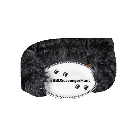 BBD Scavenger Hunt 2022 GIFs on GIPHY - Be Animated