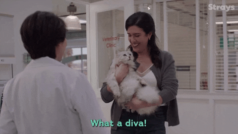 Stray-values GIFs - Get the best GIF on GIPHY