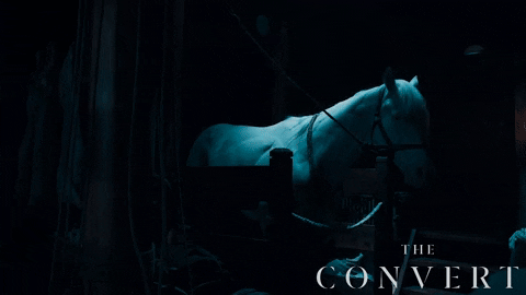 The Convert GIFs on GIPHY - Be Animated