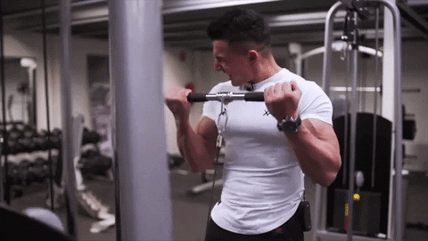 Xxl Nutrition GIFs - Get the best GIF on GIPHY