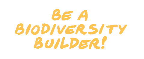 SUGi Project GIFs on GIPHY - Be Animated