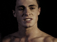 Colton Haynes Abs