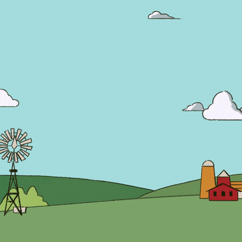 Win the Moment with These GIFs by Creative Courage | GIPHY