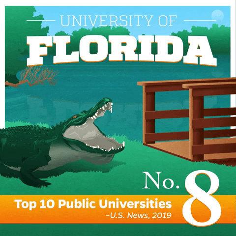 Top 10 Public GIFs - Get the best GIF on GIPHY