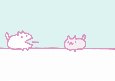 Cat GIF - Find & Share on GIPHY