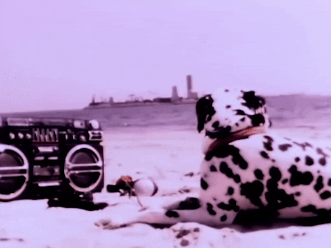 Sublime With Rome GIFs - Get the best GIF on GIPHY