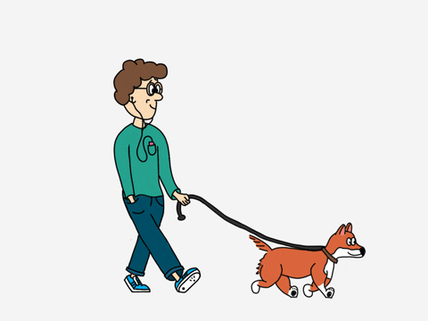 Walking Dog Animated Gif
