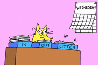 Cat-calendar GIFs - Get the best GIF on GIPHY