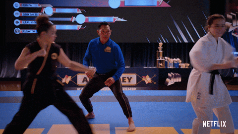 Karate Fight Gif The Karate Kid Cartoon GIFs Find & Share On GIPHY