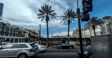 Central Louisiana GIFs - Find & Share on GIPHY