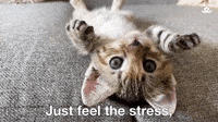 Selfcare GIFs - Get the best GIF on GIPHY
