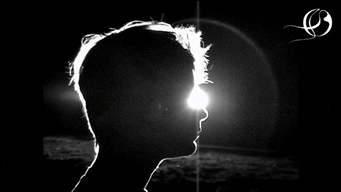 Backlighting GIFs - Get the best GIF on GIPHY