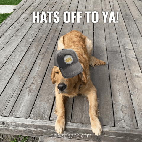 Hats Off To You GIFs - Get the best GIF on GIPHY