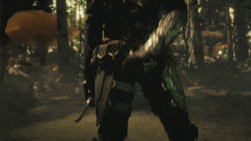 The Elder Scrolls Online GIFs on GIPHY - Be Animated