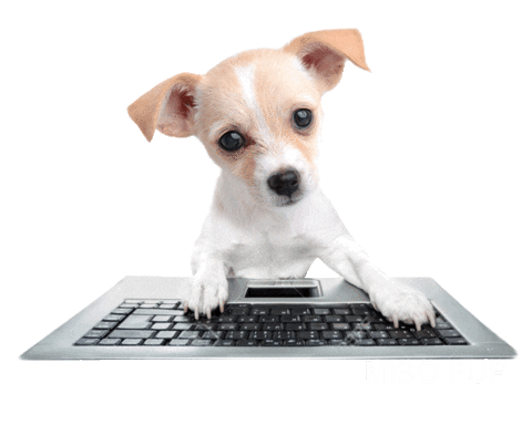Dog Work Sticker by MISO PUP for iOS & Android | GIPHY